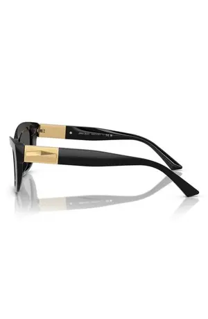 JIMMY CHOO 54mm Cat Eye Sunglasses