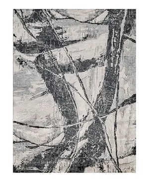EXQUISITE RUGS Floor Art 5707 Area Rug, 4' X 6 - Silvery/ D
