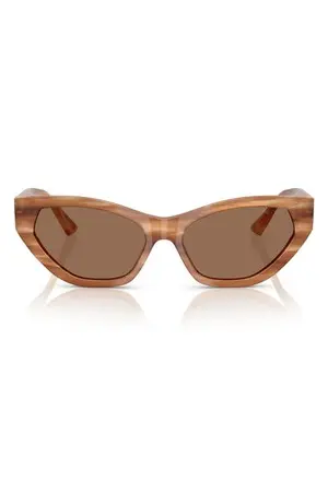JIMMY CHOO 55mm Cat Eye Sunglasses - Brown Havana