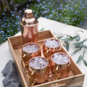 TWINE Hammered Mule Mug And Cocktial Shaker