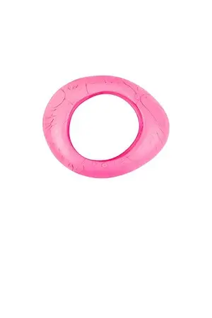 Dinosaur Designs DINOSAUR DESIGNS Rock Bangle Parakeet