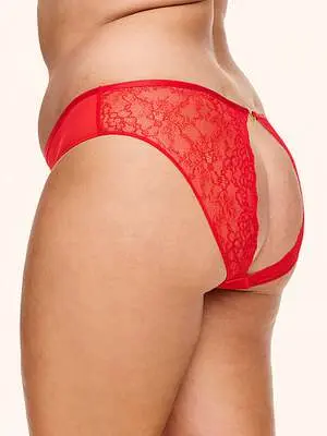 Victoria's Secret Adore Me Chere Cheeky Panty