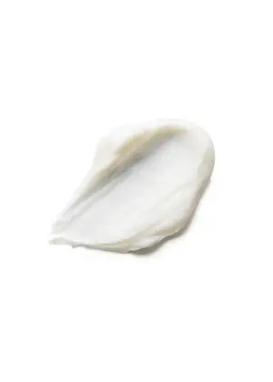 PHILIP KINGSLEY Density Stimulating Scalp Mask