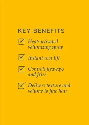 PHILIP KINGSLEY Maximizer Root Boosting Spray
