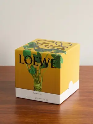 LOEWE PERFUMES Wasabi Small Scented Candle, 170g