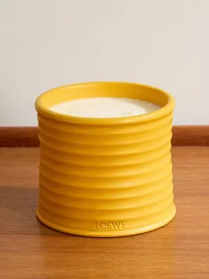 LOEWE PERFUMES Wasabi Medium Scented Candle, 610g - Yellow