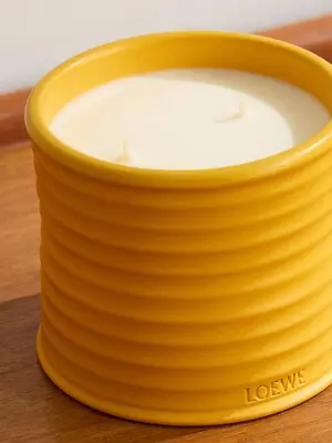 LOEWE PERFUMES Wasabi Medium Scented Candle, 610g