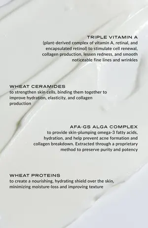 WYLYS Nightinol Cream & Sage Verte Makeup Bag - None