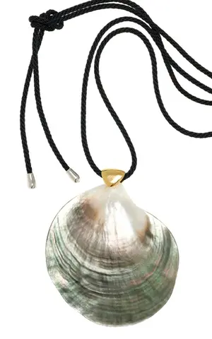 JASMIN SPARROW Exclusive Shell Necklace - Multi