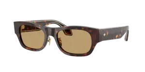 Giorgio Armani Sunglasses - Brown