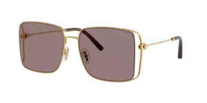 COACH Square Frame Sunglasses Mauve Solid