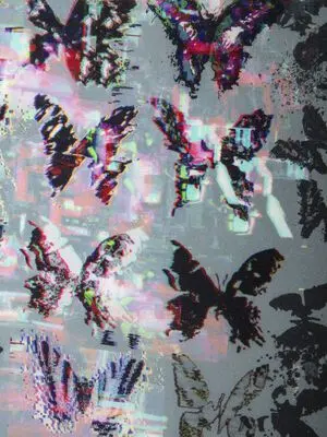 Zadig&Voltaire Blondie Scarf
