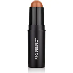 BODYOGRAPHY Pro Perfect Foundation Stick -light/med 0.31oz - Espresso