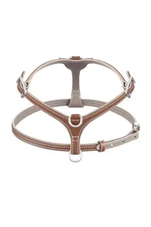 PAGERIE The Petite Extra Small Harness - Walnut