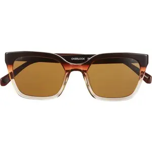 Eyebobs Eyebobs Overlook 50mm Polarized Cat Eye Sunglasses Walnut/almond/brown