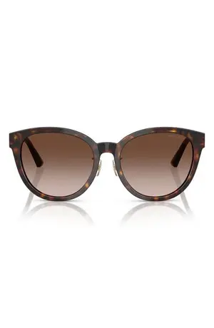 JIMMY CHOO 55mm Phantos Sunglasses - Havana