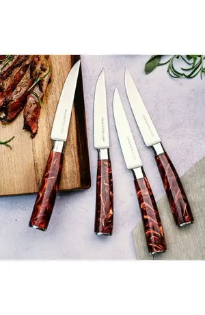 VIETRI Coltelli 4-piece Stainless Steel Steak Knife Set
