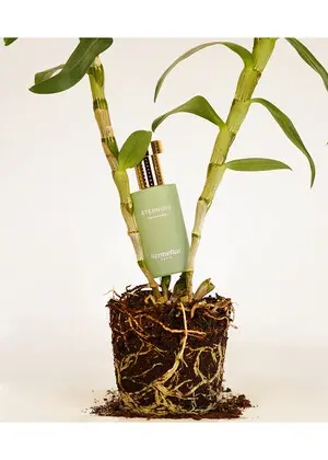 HERMETICA Eterniris Eau De Parfum