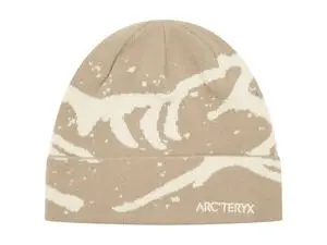 Arc'teryx Grotto Toque - Rune/arctic Silk