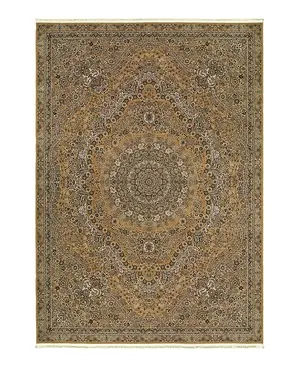 ORIENTAL WEAVERS Masterpiece 8022j Area Rug, 3'10 X 5'5 - Gold