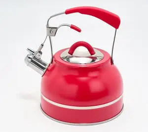 AARTI SEQUEIRA 2.3-qt Stovetop Tea Kettle W/ Silicone Handle - One-color
