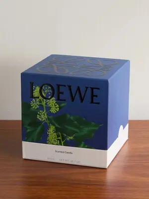 LOEWE PERFUMES Ivy Medium Scented Candle, 610g