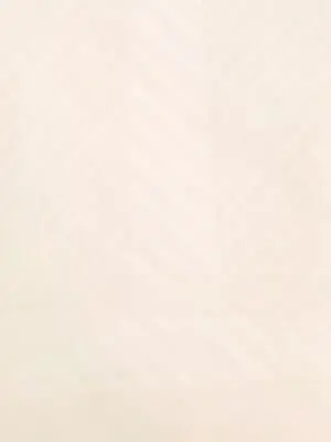 Max Mara Jacquard Scarf - Neutrals