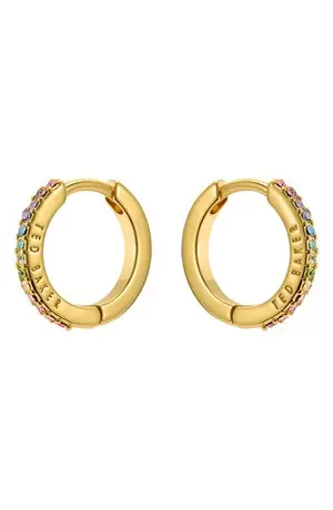Ted Baker London Heplie Pavé Hoop Earrings - Gold Tone/ Rainbow Crystal