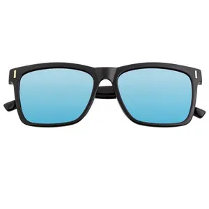 BREED Pictor Polarized Sunglasses - Black/blue