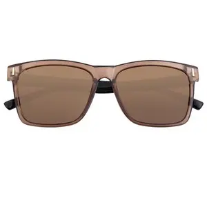BREED Pictor Polarized Sunglasses - Brown/black