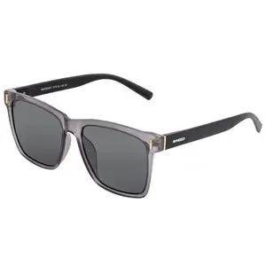 BREED Pictor Polarized Sunglasses - Grey/black