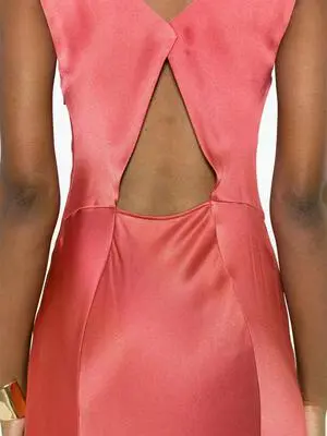 Alberta Ferretti Cut-out Gown - Pink