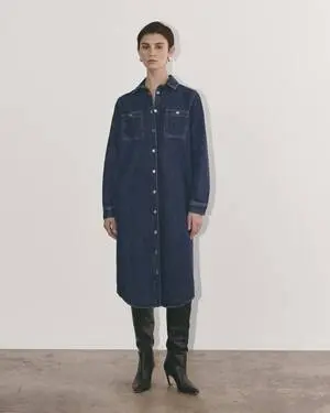 Everlane Denim Shirt Dress