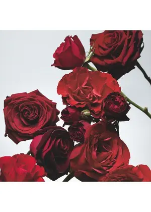 Jo Malone Red Roses Cologne