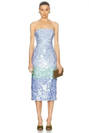 Carolina Herrera Sequined Dresses
