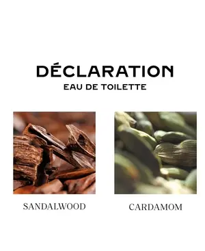 Cartier Declaration Eau De Toilette Spray
