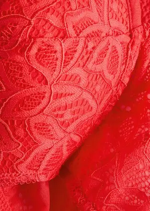 Wacoal Raffine Lace Plunge Bra - Red
