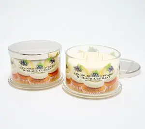HOMEWORX BY SLATKIN + CO. S/2 18oz Candles Lc Black Currant - One-color