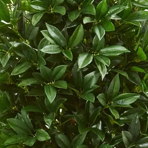 NEARLY NATURAL 57 Bay Leaf Cone Topiary Tree In Slate Planter Uv Resistant
