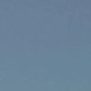 Tiffany & Co. Round Frame Sunglasses