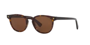 Men's Bottega Veneta Brown Accessories