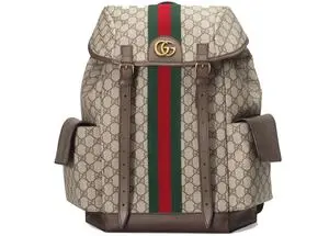 Gucci Ophidia Gg Backpack