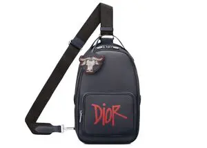 Dior Crossbody Backpack