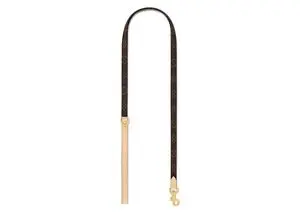 LOUIS VUITTON Dog Leash Pm - Monogram