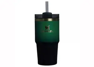 STANLEY X Target X Wicked Flowstate Quencher 20oz Tumbler - Elphaba