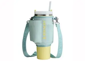 STANLEY The All Day 40oz Quencher Carryall - Mist