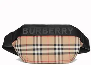 Burberry Box Belt Bags For Women
