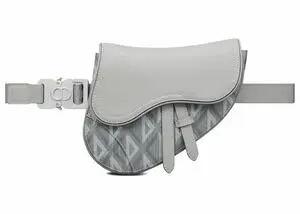 Dior Mini Saddle Belt Bag