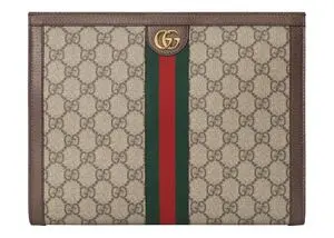 Gucci Ophidia Pouch