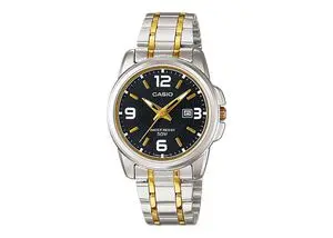 Casio Strap Watch - Stainless Steel